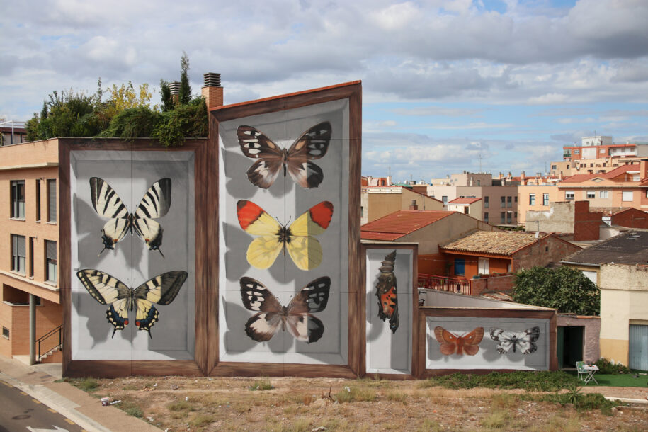 Artist Creates Larger-Than-Life Butterfly Murals To Beautify City Walls ...