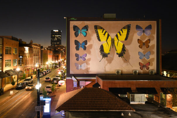 Artist Creates Larger-Than-Life Butterfly Murals To Beautify City Walls ...