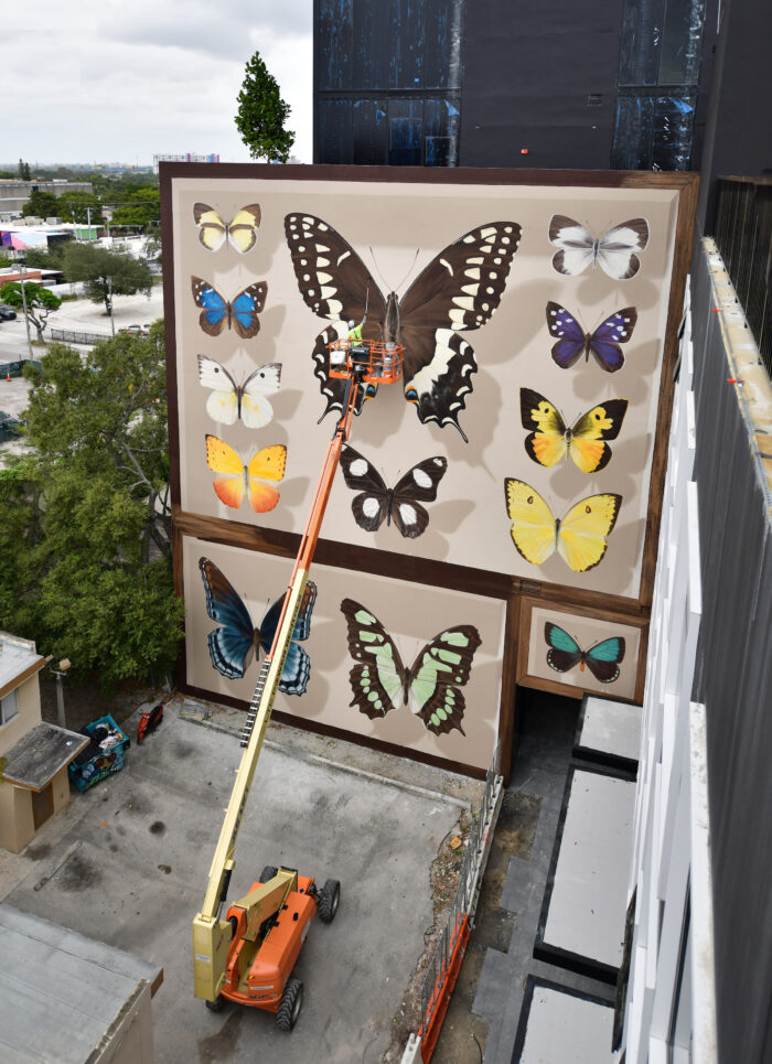 Artist Creates Larger-Than-Life Butterfly Murals To Beautify City Walls ...