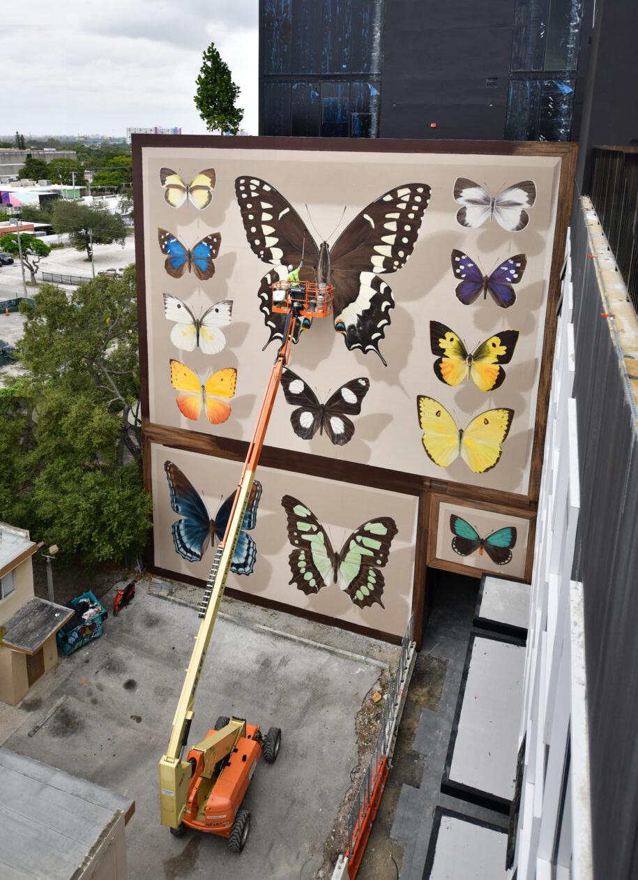 Artist Creates Larger-Than-Life Butterfly Murals To Beautify City Walls ...