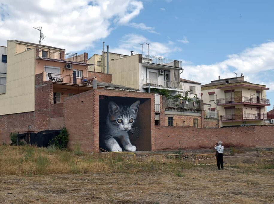 15 Creative And Unique Wall Murals Created By Oriol Arumí | DeMilked