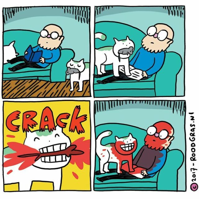 30 Adorable Comics Depicting A Dutch Illustrator's Cat's Adventures ...