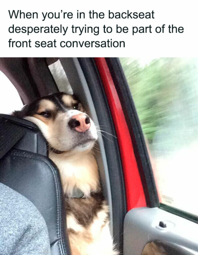 30 Funny And Wholesome Memes That Might Brighten Your Day | DeMilked