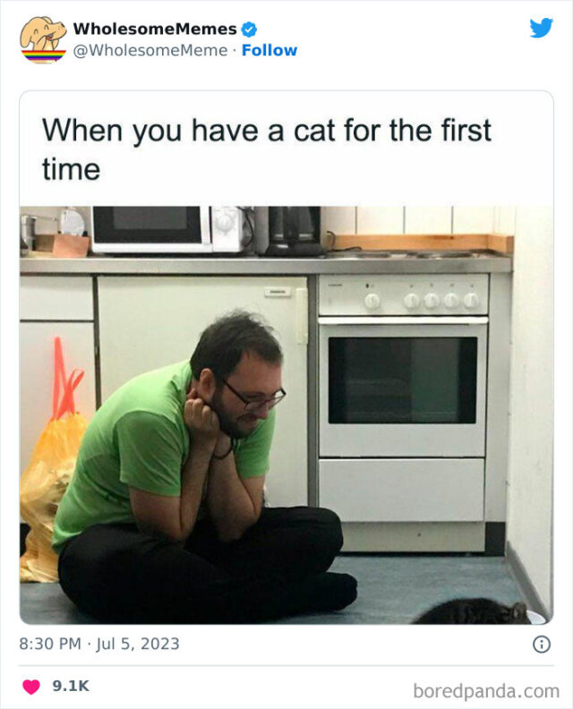 30 Funny And Wholesome Memes That Might Brighten Your Day | DeMilked