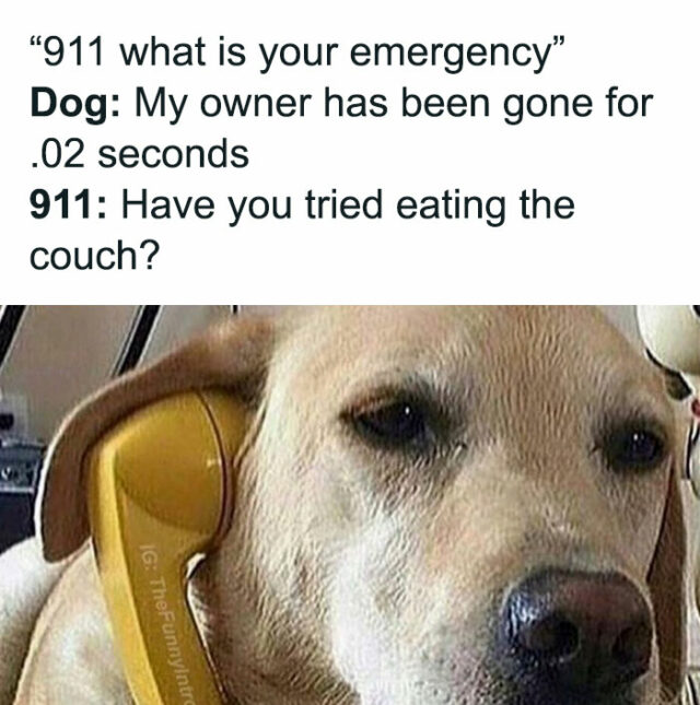 30 Funny And Wholesome Memes That Might Brighten Your Day | DeMilked