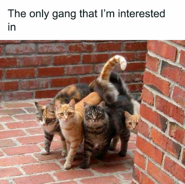 30 Funny And Wholesome Memes That Might Brighten Your Day | DeMilked