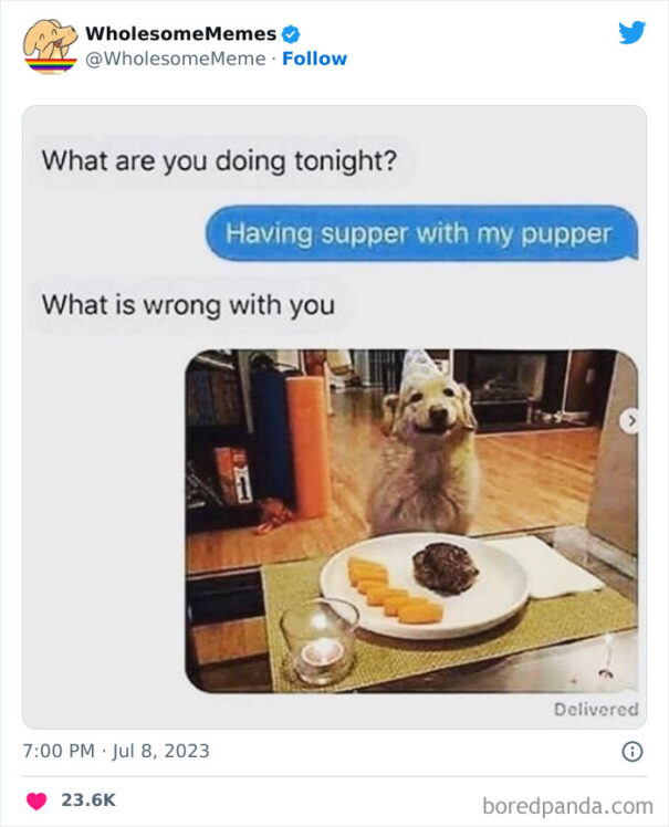 30 Funny And Wholesome Memes That Might Brighten Your Day | DeMilked