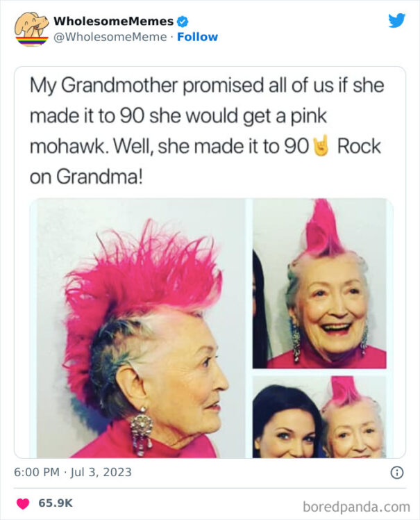 30 Funny And Wholesome Memes That Might Brighten Your Day | DeMilked