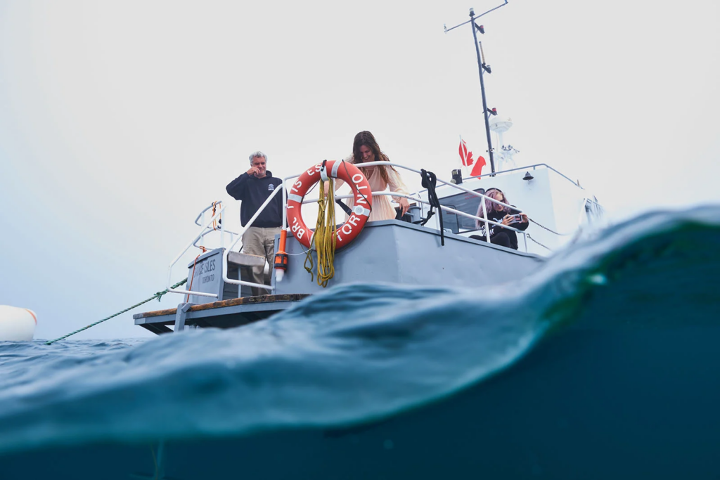 Photographer Dives Deep To Show The Beauty Of Underwater Photography ...