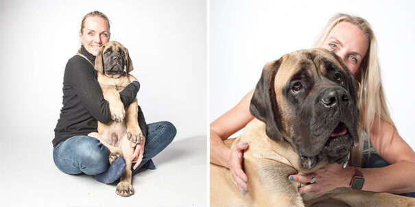 20 Touching Photos Comparing Dogs As Pups Vs Their Older Selves | DeMilked