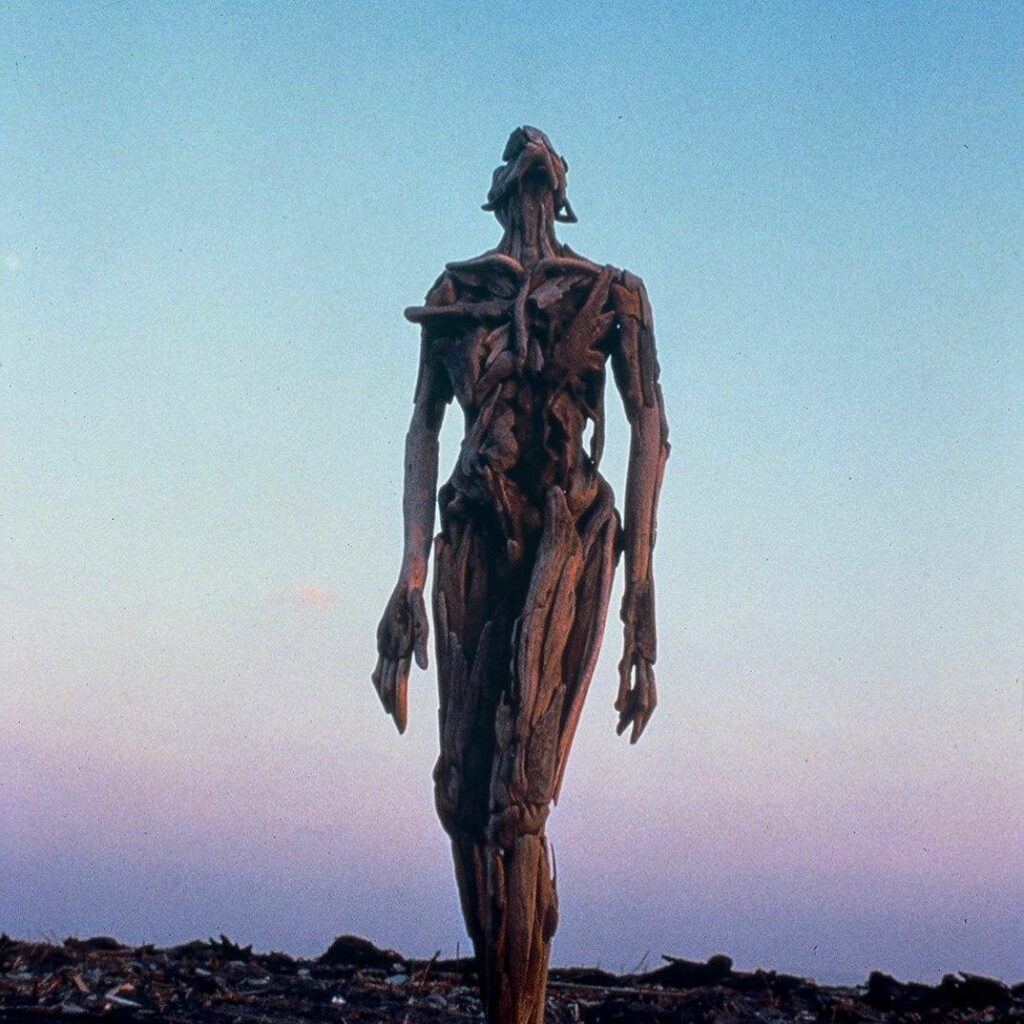 10 Disturbingly Beautiful Driftwood Sculptures Created By The Japanese ...