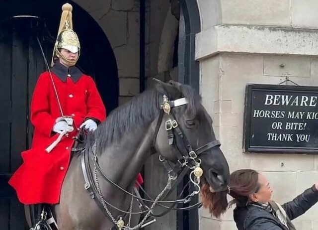 30 Funny Examples Of UK Sharing Its Sense Of Humor | DeMilked