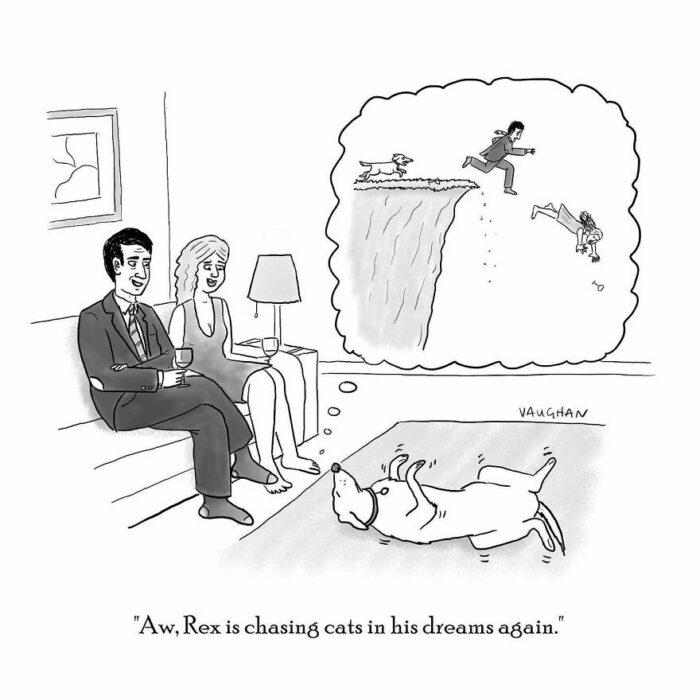 30 Random Comics About Silly Things And Weird Situations By Vaughan ...