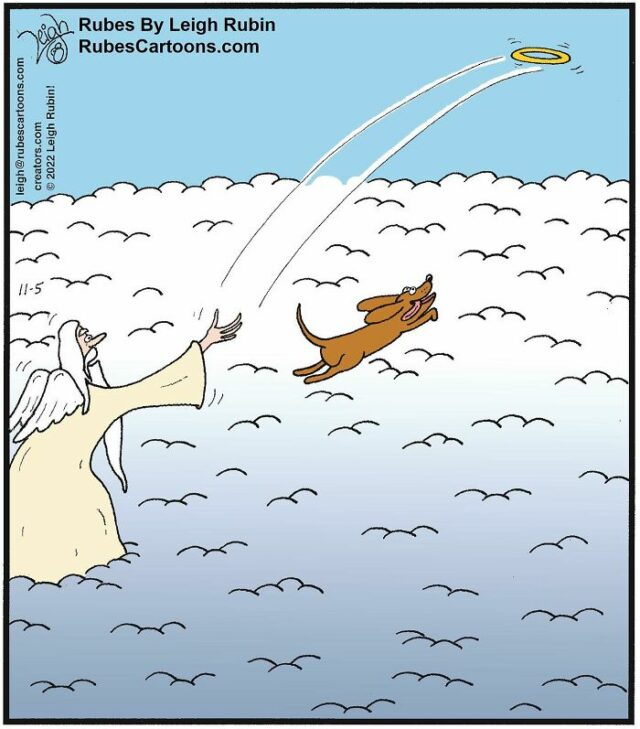 20 Comics By Leigh Rubin That Depict Ridiculously Funny Situations ...