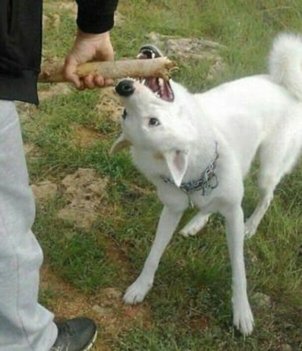 The "Cursed Images" Facebook Page Shares Photos That Give Off ...