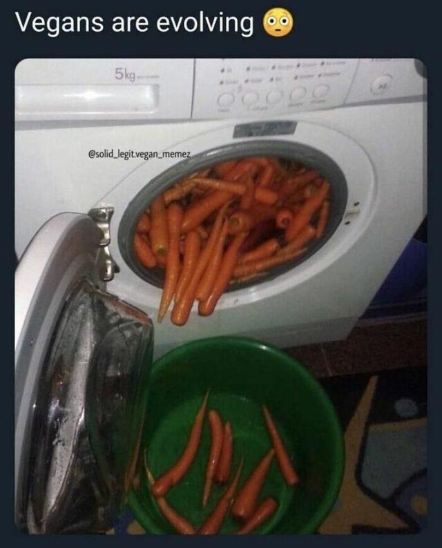 The "Cursed Images" Facebook Page Shares Photos That Give Off ...