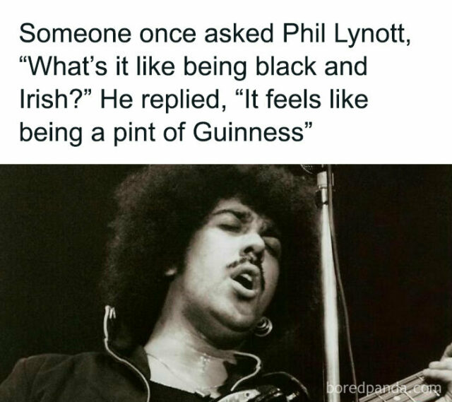 30 Of The Funniest Images From The “Meanwhile In Ireland” FB Page ...