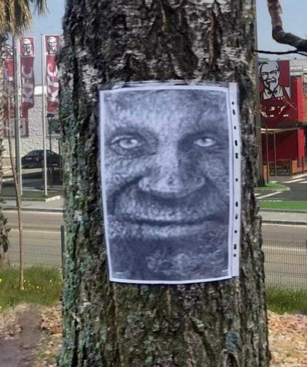 20 'Cursed Images' Without Context That Might Make You Question Things ...