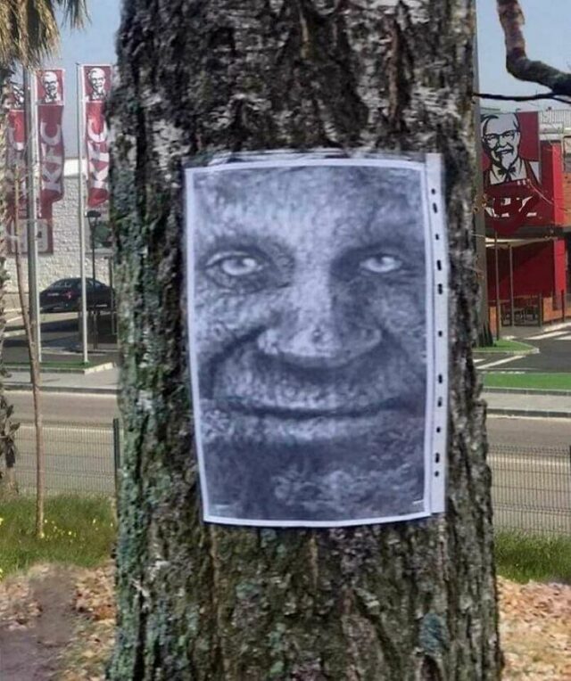 20 'Cursed Images' Without Context That Might Make You Question Things ...