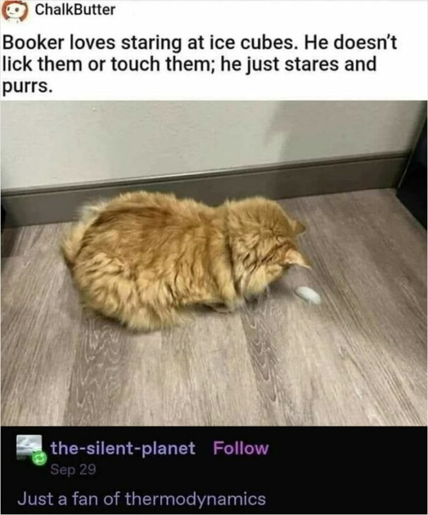 20 Funny 'Educational Memes' That Will Make Learning Fun | DeMilked