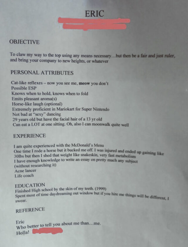 22 Stupid Things Candidates Put In Their Resumes That Got Them Rejected ...