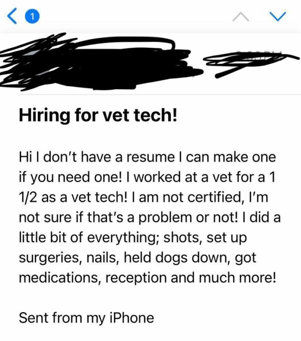 22 Stupid Things Candidates Put In Their Resumes That Got Them Rejected ...