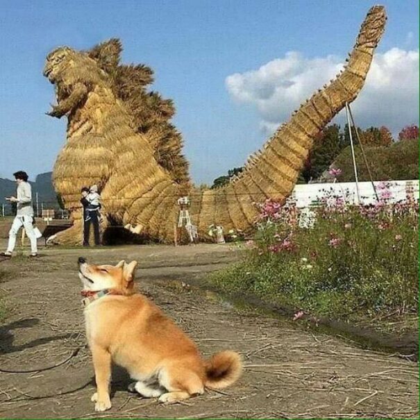 20 Random Unusual Pics Posted On This Facebook Page That Don't Make Any ...