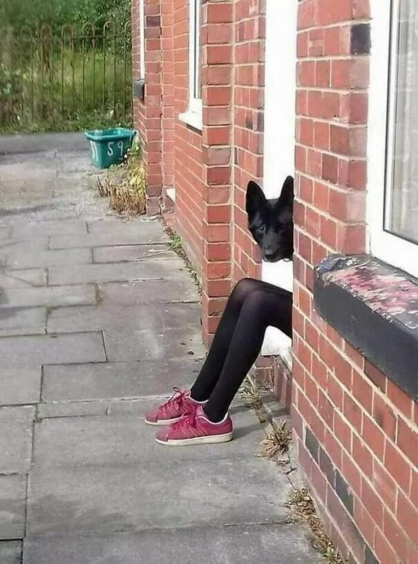 20 Random Unusual Pics Posted On This Facebook Page That Don't Make Any ...