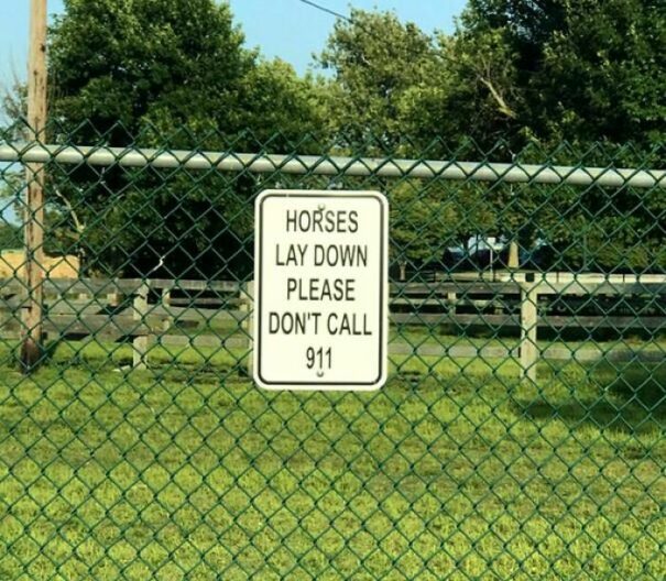 30 Of The Funniest Signs Around The World, As Shared By This Facebook ...