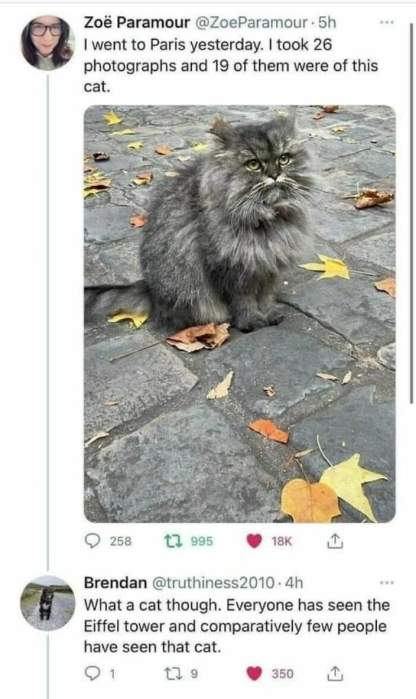 30 Epic Tumblr Posts To Brighten Your Day, As Shared On "The Worst Of ...
