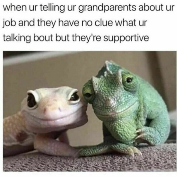 20 Funny Animal Memes To Brighten Your Day | DeMilked