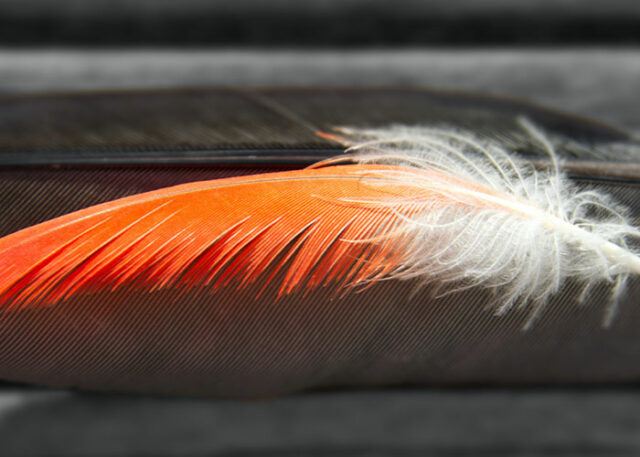 20 Seemingly Innocent Things That Are Actually Crimes | DeMilked