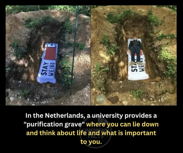 30 Interesting Products You Might Have Not Known About But They ...