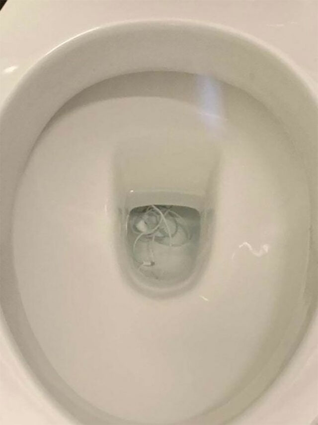 20 Times People Spotted Something That Infuriated Them So Much, They ...