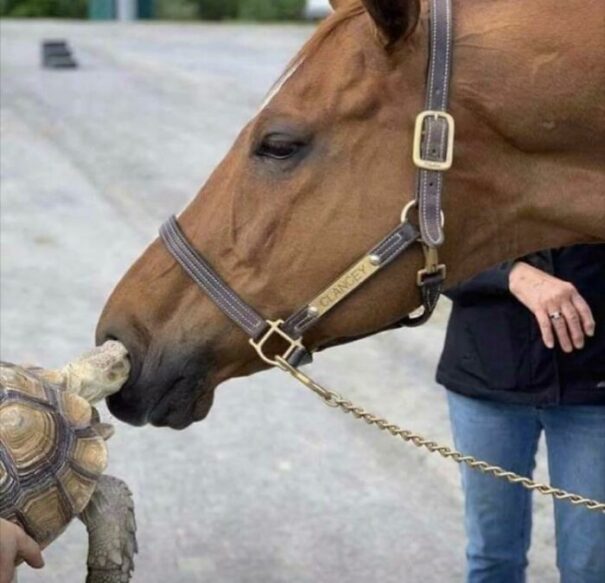 20 Pics That Might Leave You Feeling “Mildly Uncomfortable” | DeMilked