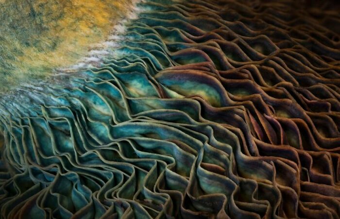 20 Magnificent Photos That Made It To The Winning List Of The Big ...