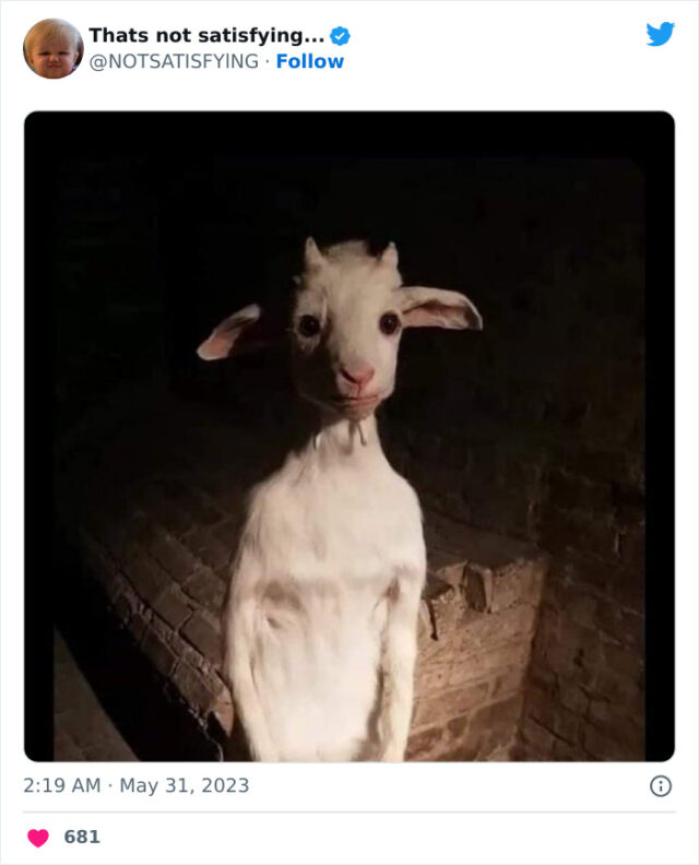 20 Of The Weirdest Posts Found On The “That’s Not Satisfying” Twitter ...