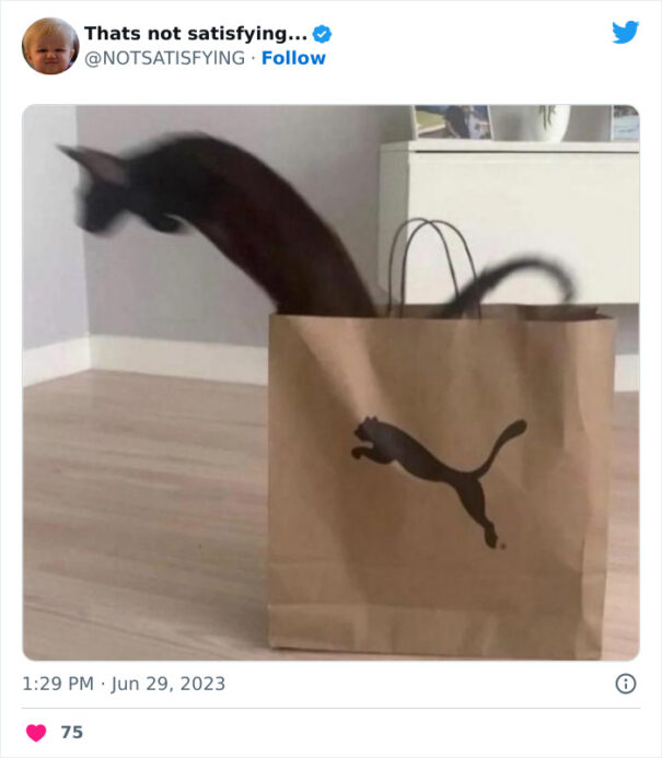 20 Of The Weirdest Posts Found On The “That’s Not Satisfying” Twitter ...