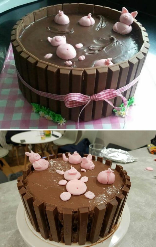 20 ‘Expectation Vs. Reality’ Instances That Show Reality Is Not Always ...