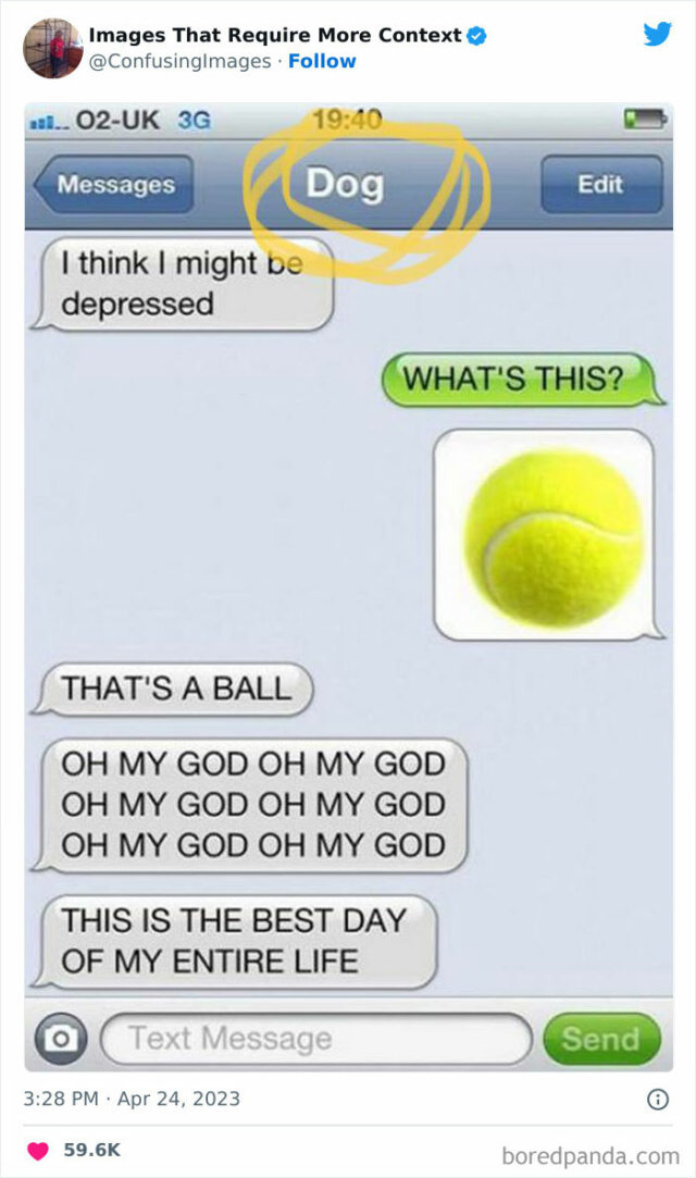 30 Funny Photos Without Context That Get Weirder The Longer You Look At ...