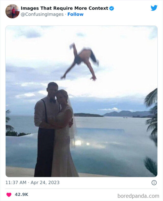 30 Funny Photos Without Context That Get Weirder The Longer You Look At ...