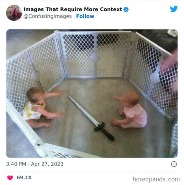 30 Funny Photos Without Context That Get Weirder The Longer You Look At ...