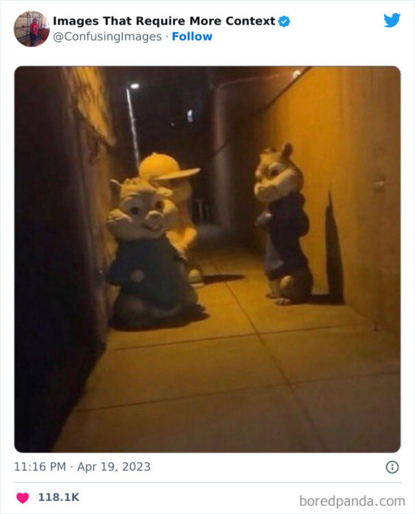 30 Funny Photos Without Context That Get Weirder The Longer You Look At ...