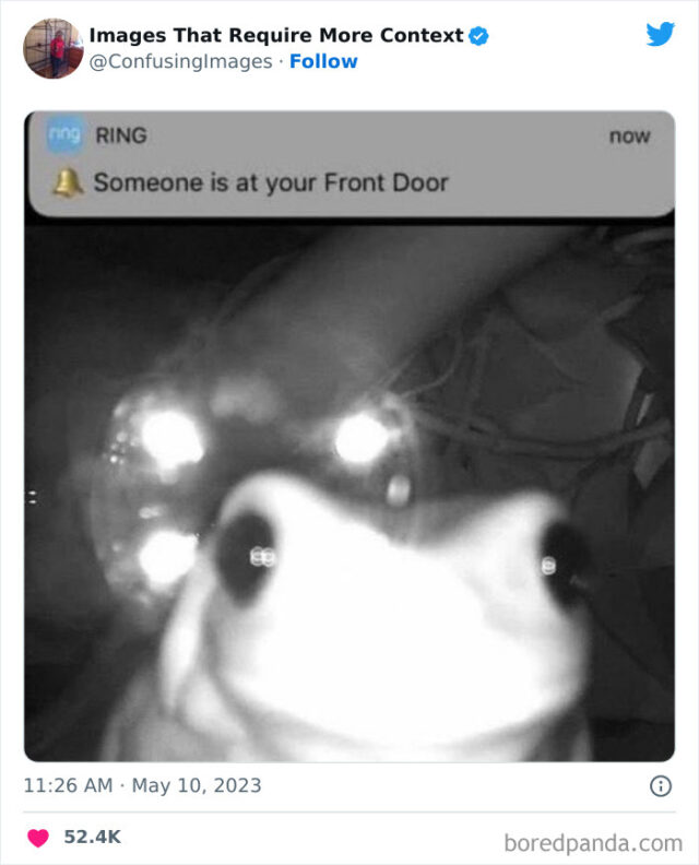 30 Funny Photos Without Context That Get Weirder The Longer You Look At ...