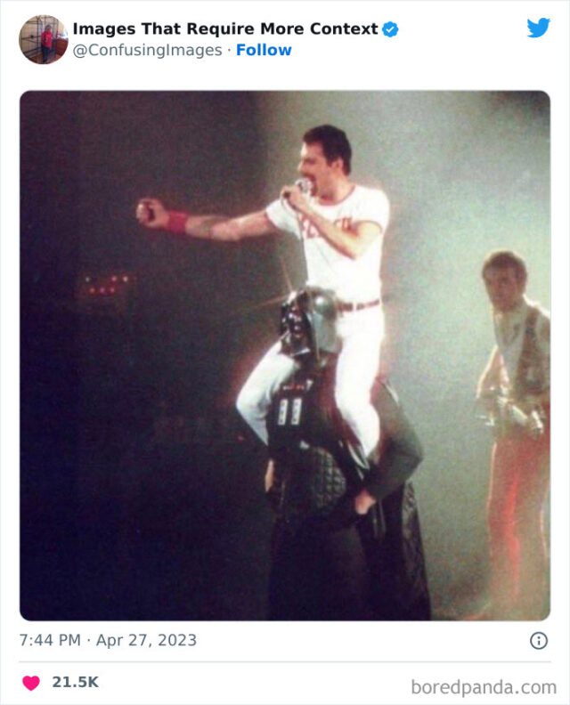 30 Funny Photos Without Context That Get Weirder The Longer You Look At ...