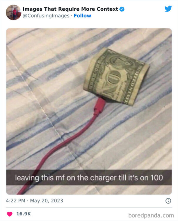 30 Funny Photos Without Context That Get Weirder The Longer You Look At ...