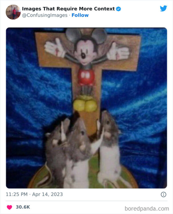 30 Funny Photos Without Context That Get Weirder The Longer You Look At ...