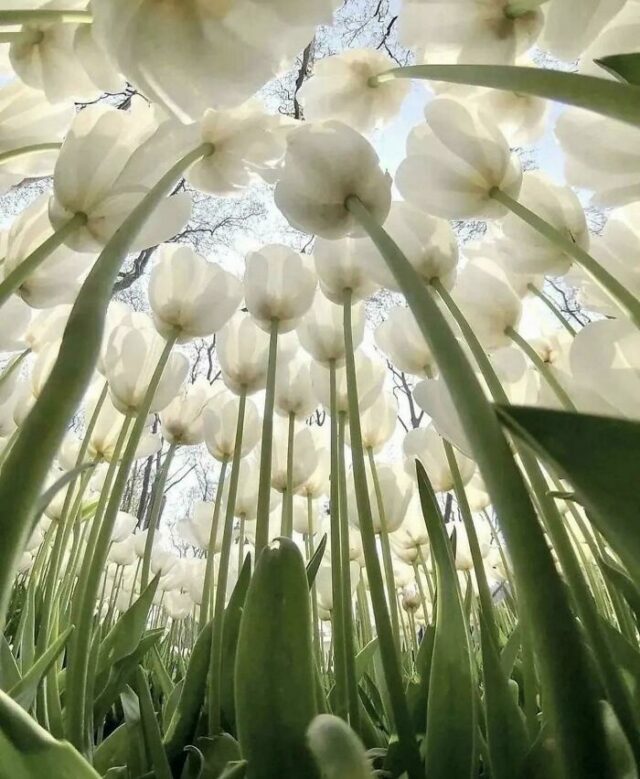 Alternate Angles: 20 Photos That Show Famous Places And Events From A ...