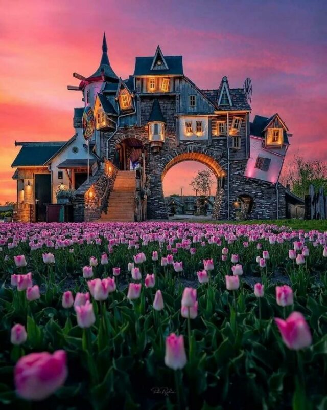 20 Bizarre Building Designs That Look Incredibly Cool Yet Uncomfortable ...