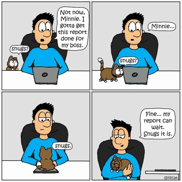 20 Comics That Illustrate The Life Of A Cat Owner | DeMilked
